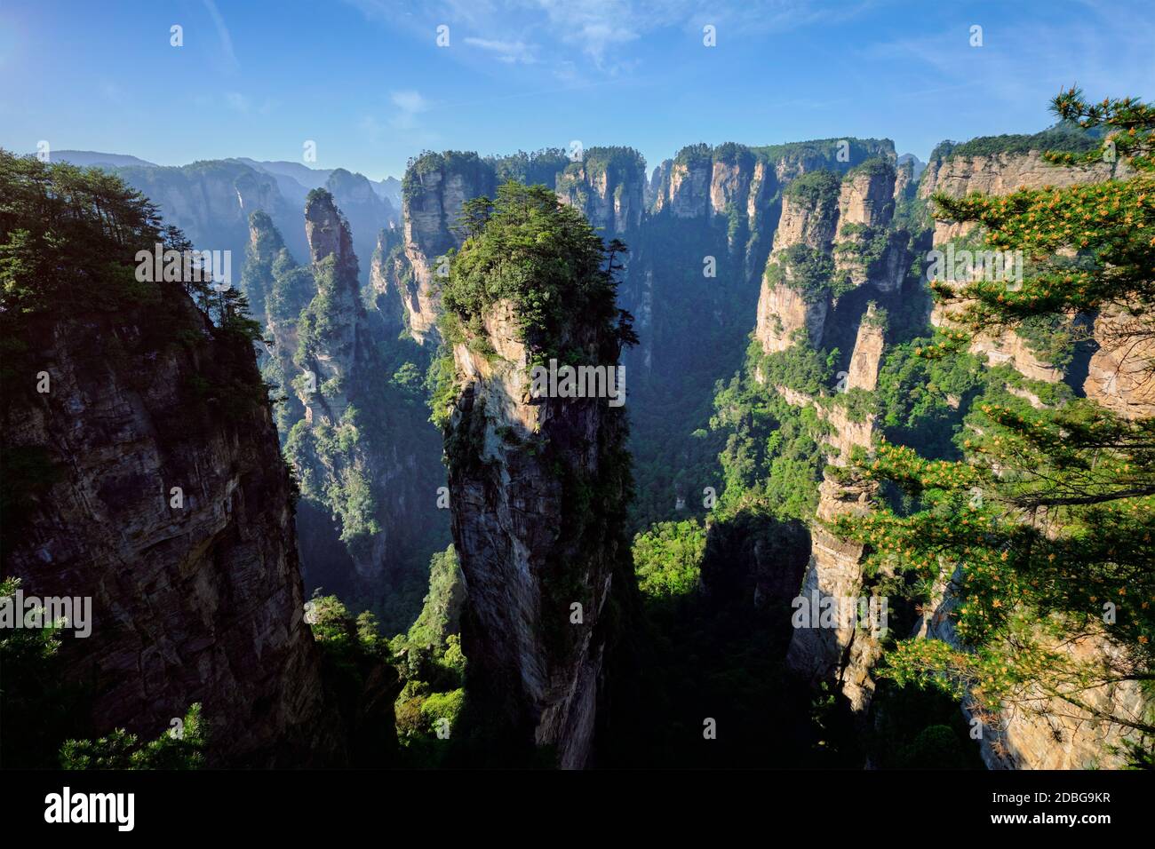 Famous tourist attraction of China - Avatar Hallelujah Mountain in ...