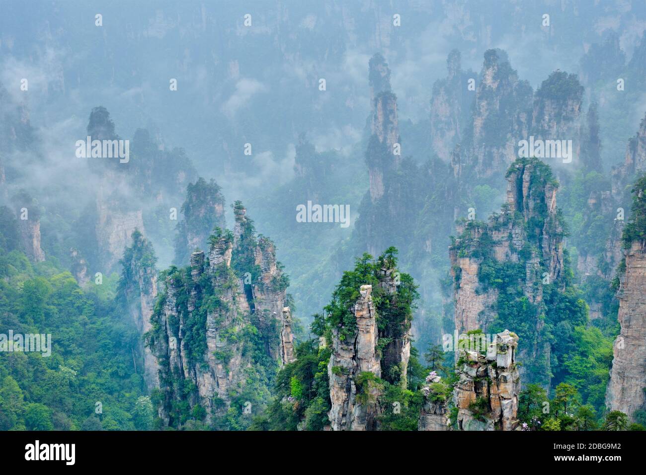 Famous tourist attraction of China - Zhangjiajie stone pillars cliff ...