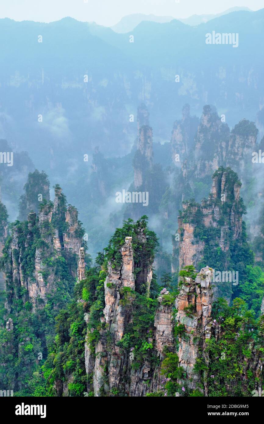 Famous tourist attraction of China - Zhangjiajie stone pillars cliff ...