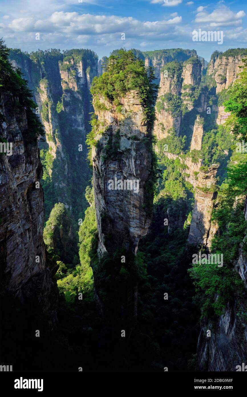 Famous tourist attraction of China - Avatar Hallelujah Mountain in ...