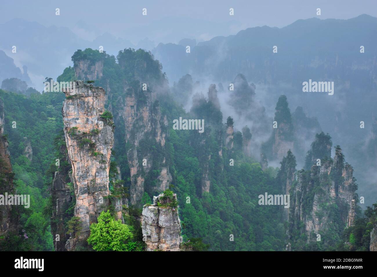 Famous tourist attraction of China - Zhangjiajie stone pillars cliff ...