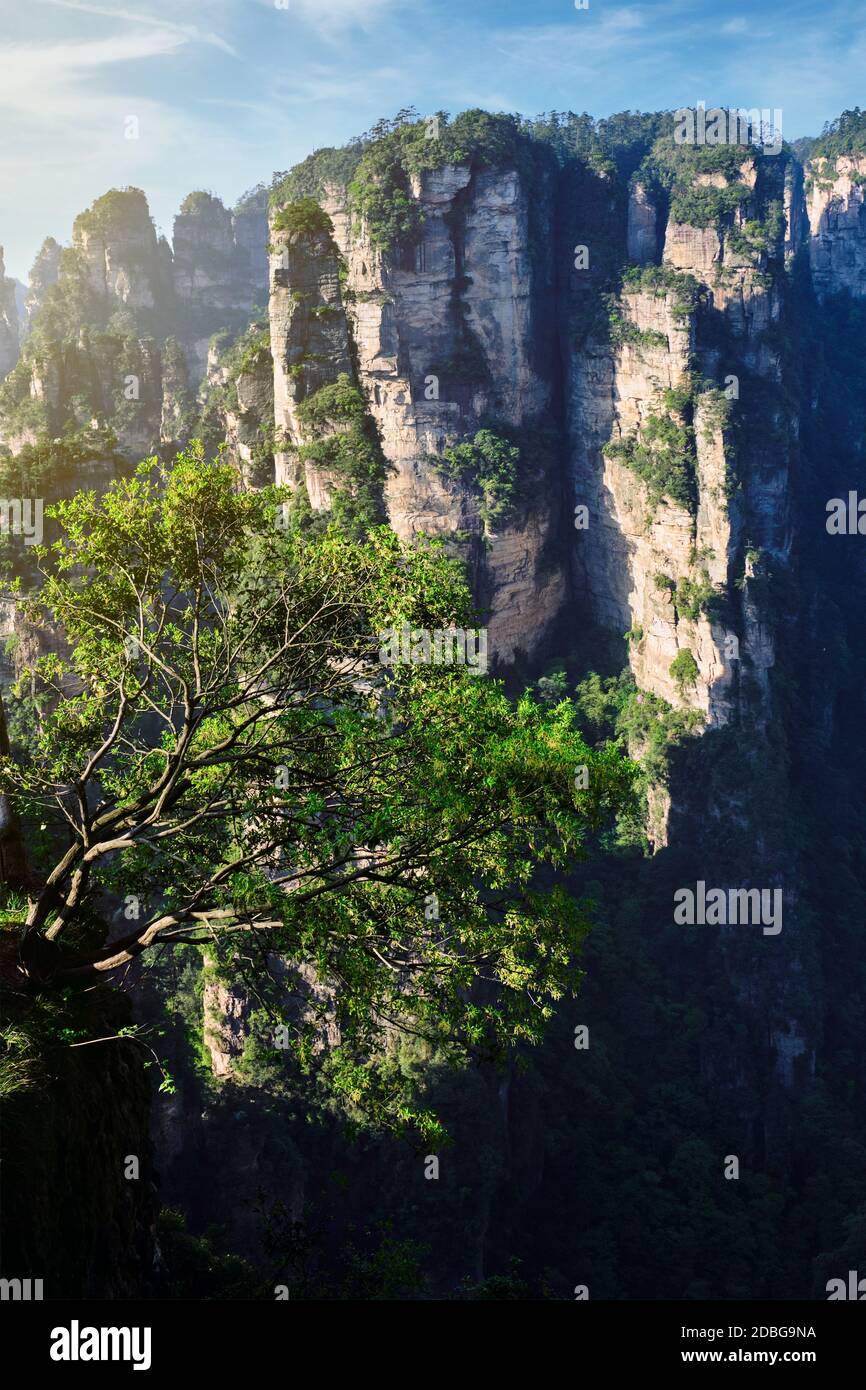 Famous tourist attraction of China - Zhangjiajie stone pillars cliff ...