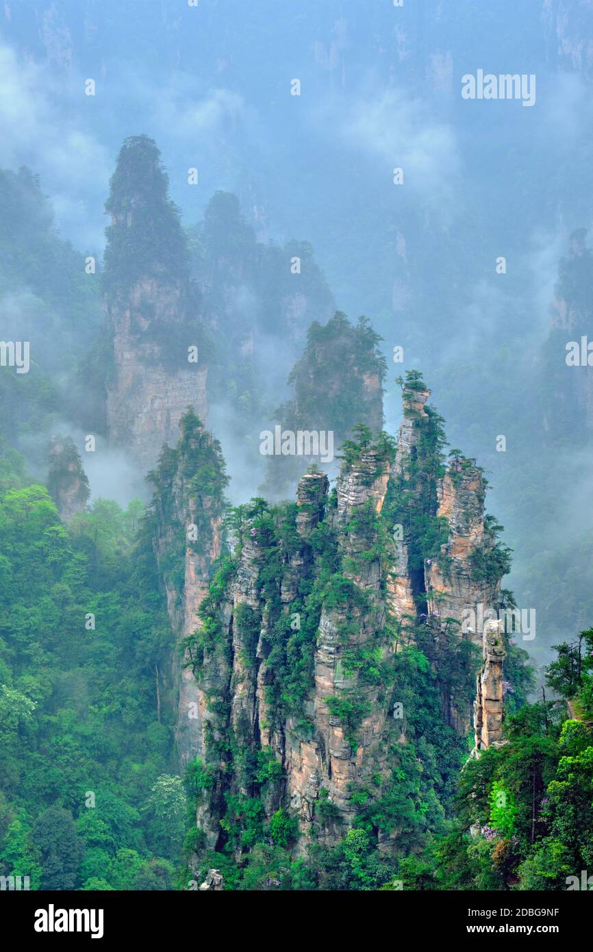Famous tourist attraction of China - Zhangjiajie stone pillars cliff ...