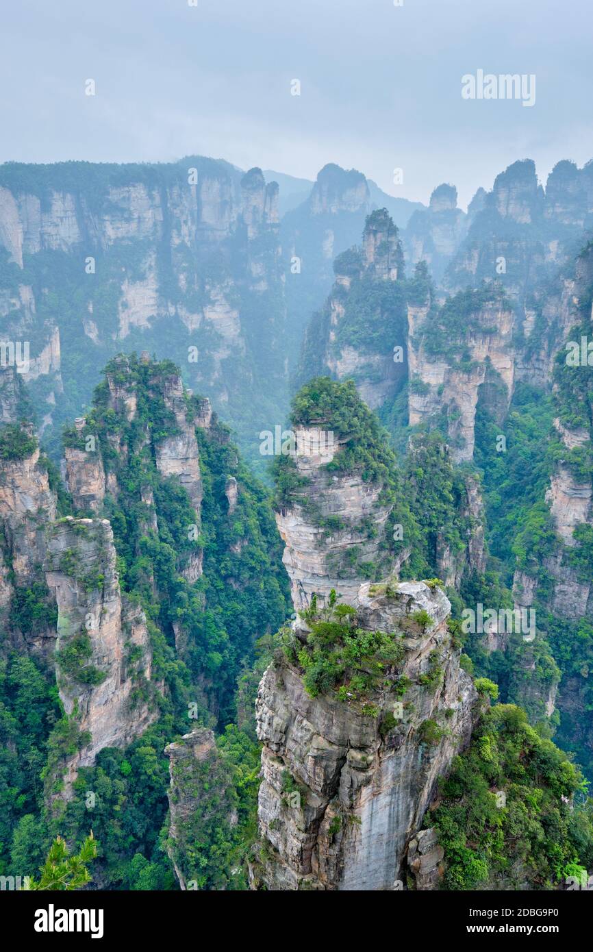 Famous tourist attraction of China - Zhangjiajie stone pillars cliff ...