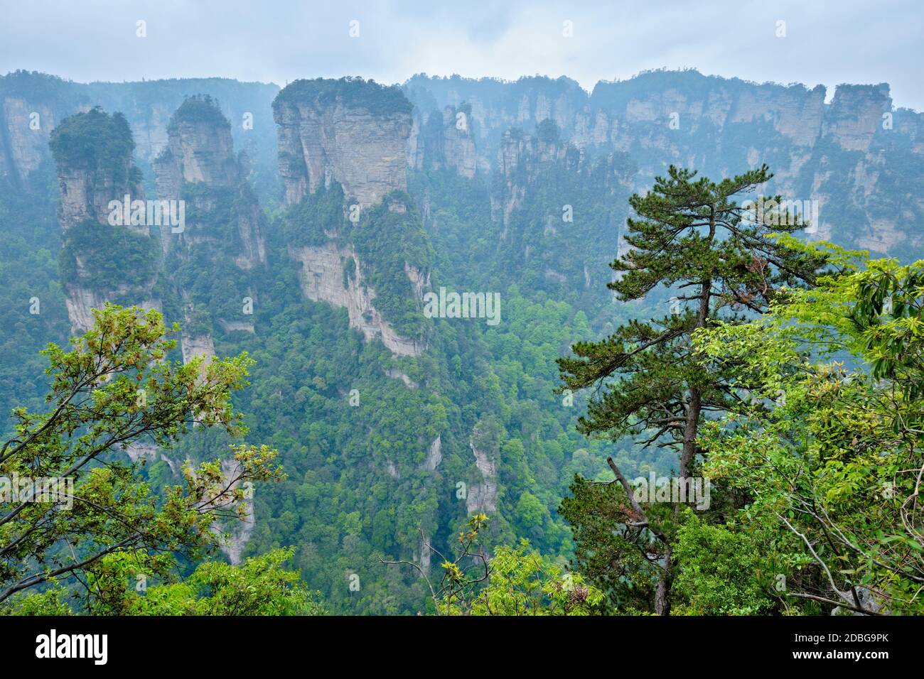 Famous tourist attraction of China - Zhangjiajie stone pillars cliff ...