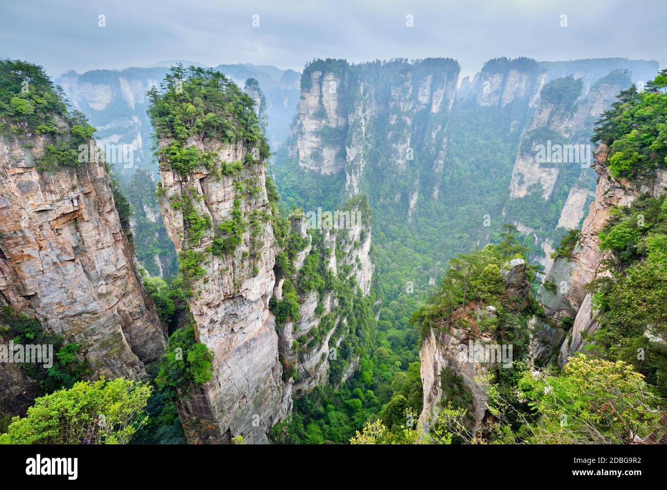 Famous tourist attraction of China - Avatar Hallelujah Mountain in ...