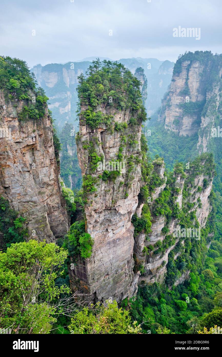 Famous tourist attraction of China - Avatar Hallelujah Mountain in ...