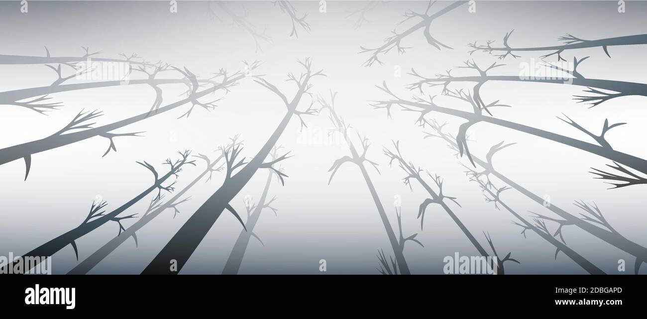 Reed fence natural background Stock Vector Images - Alamy