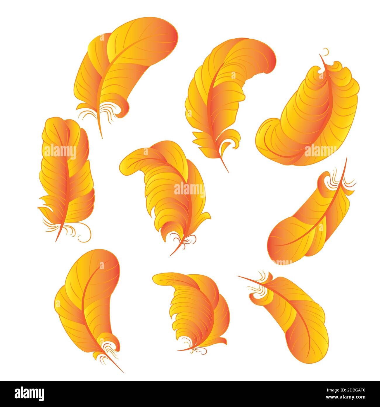 Set of feathers in gold gradient color vector graphic illustration on a ...