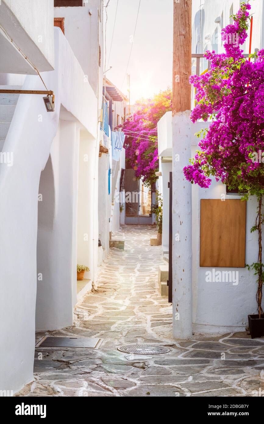 Picturesque narrow street with traditional whitewashed houses with ...