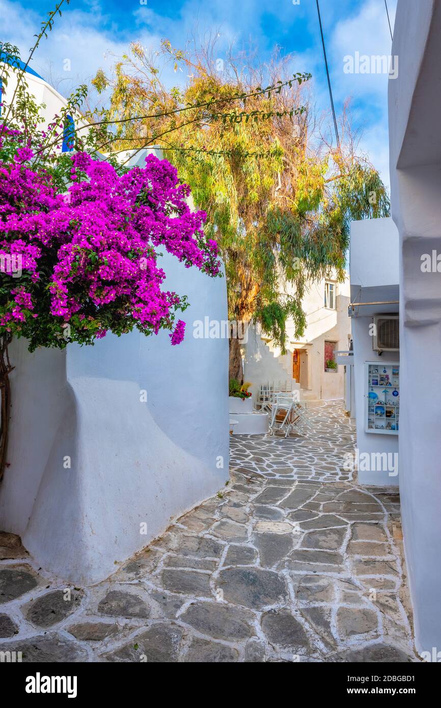 Picturesque narrow street with traditional whitewashed houses with ...