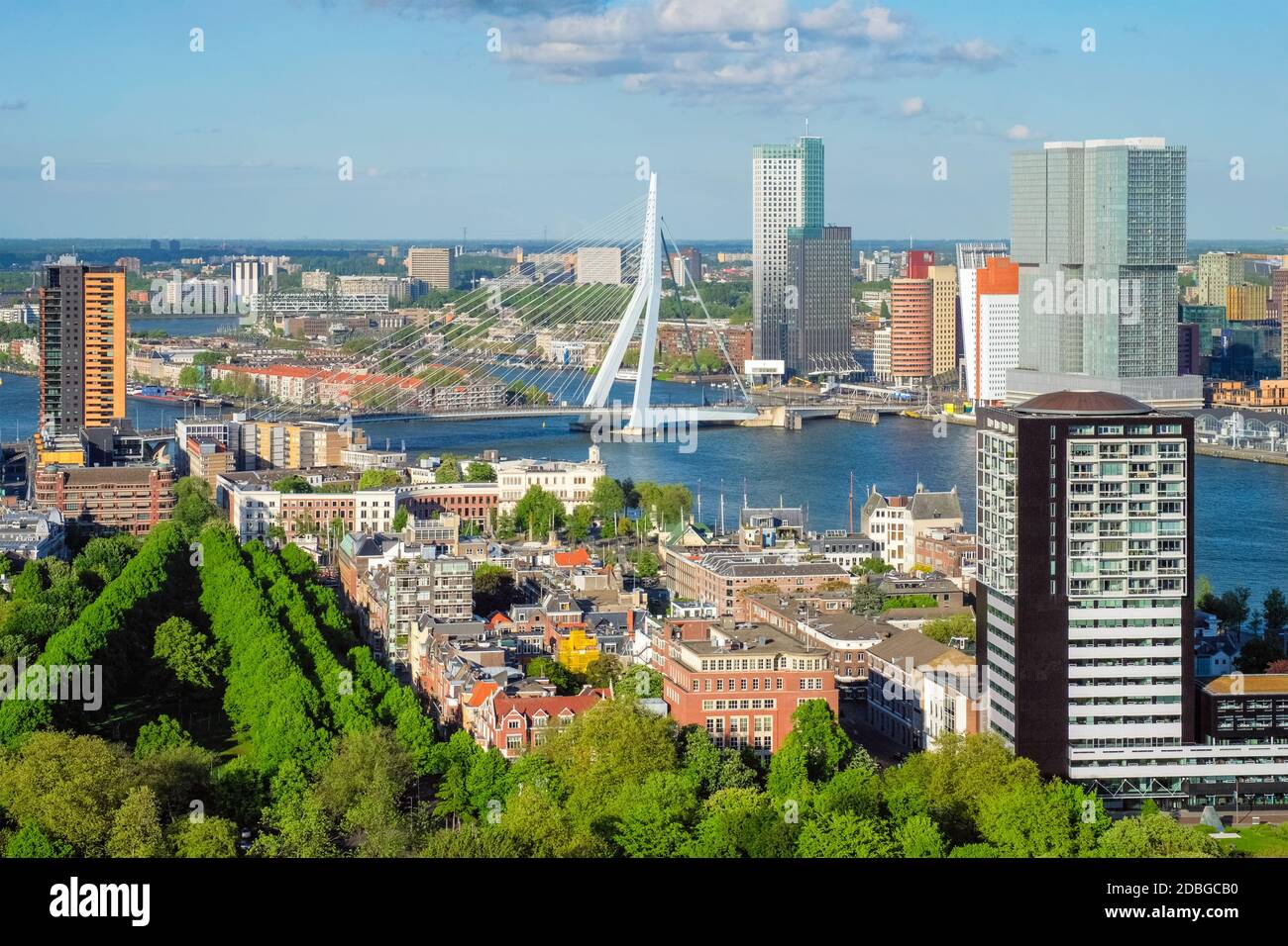 View of Rotterdam city and the Erasmus bridge Erasmusbrug over Nieuwe ...