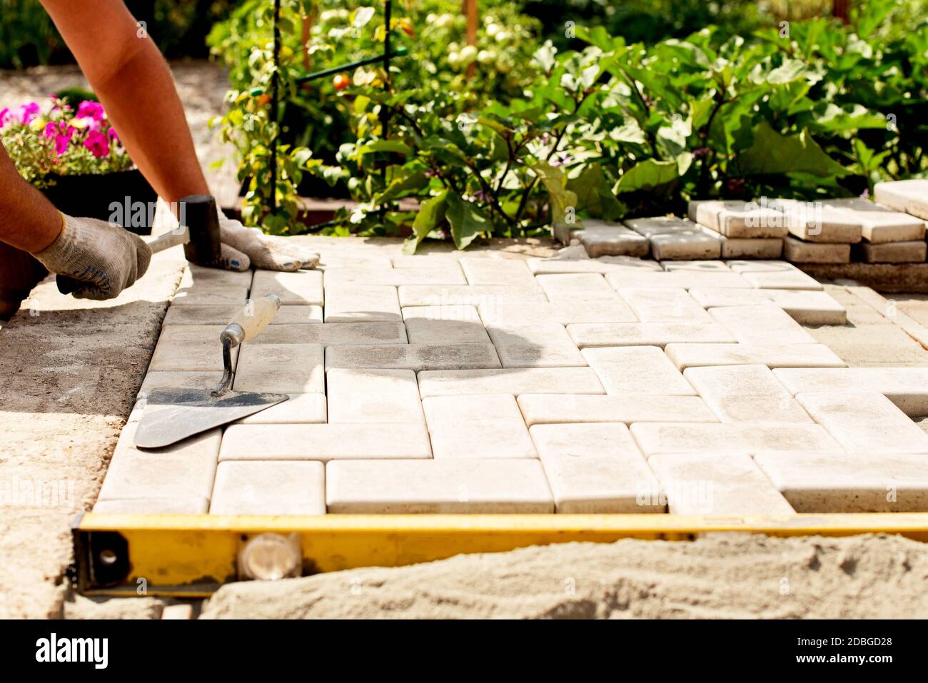 The master lays paving stones in layers. Garden brick pathway paving by ...