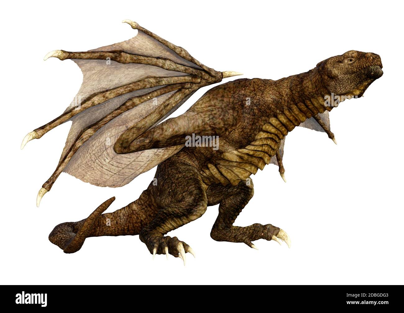 3D rendering of a fantasy dragon isolated on white background Stock ...