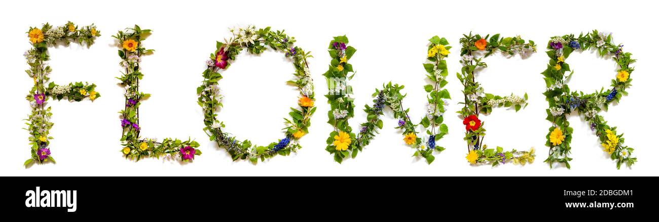 Flower, Branches And Blossom Letter Building English Word Flower. White ...
