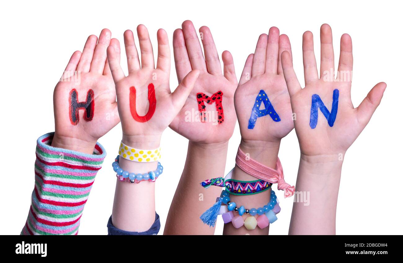 Children Hands Building Colorful English Word Human. White Isolated ...