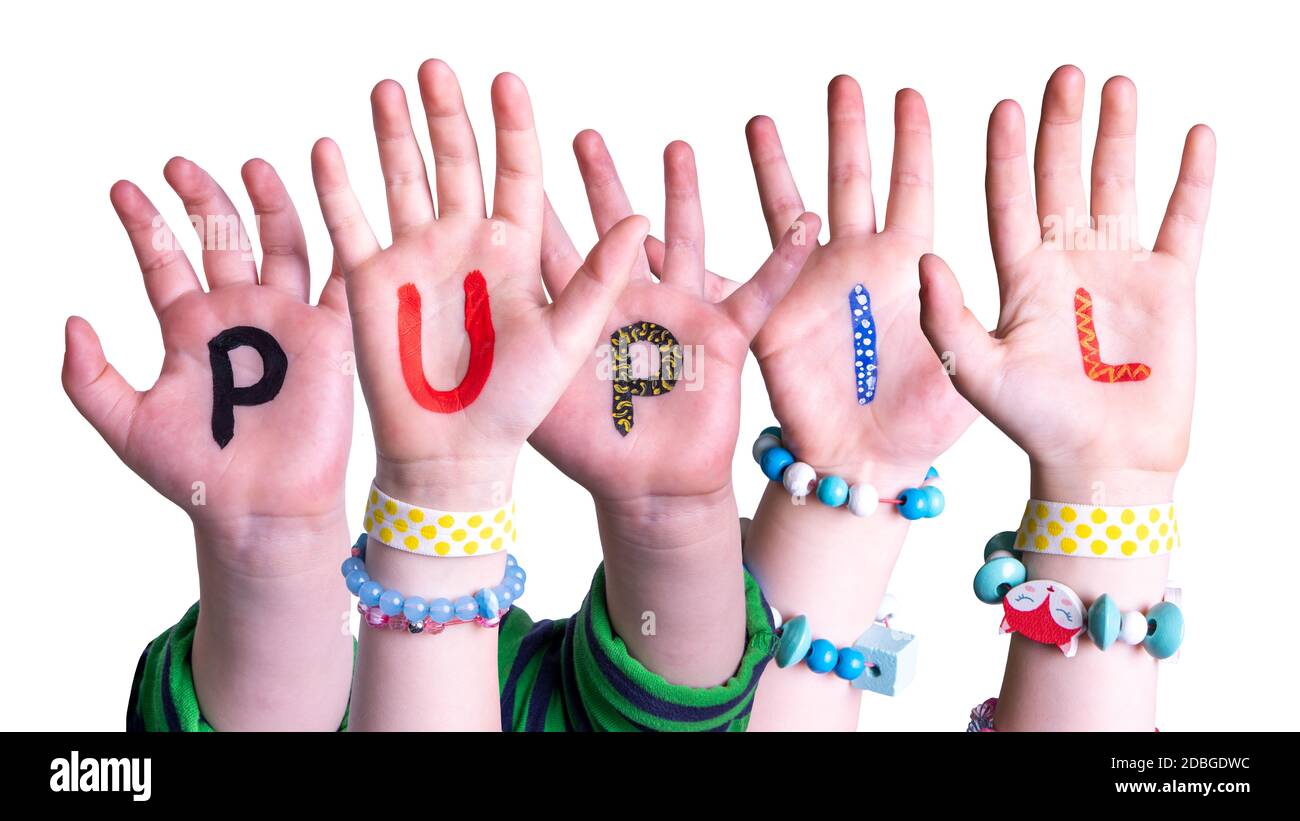 Children Hands Building Colorful English Word Pupil. White Isolated ...