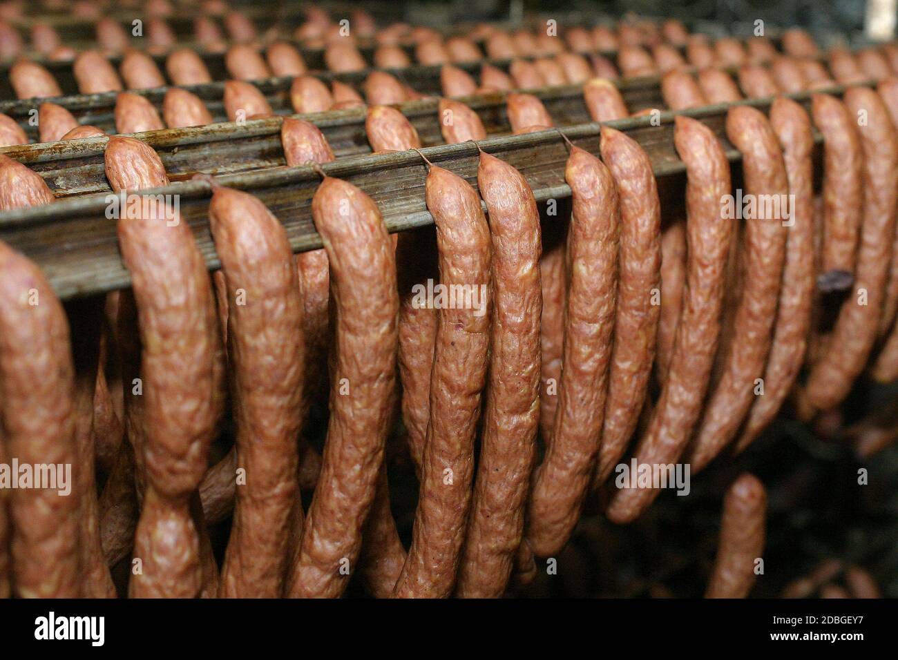 Sausage production line. Sausage on the counter for the smokehouse ...