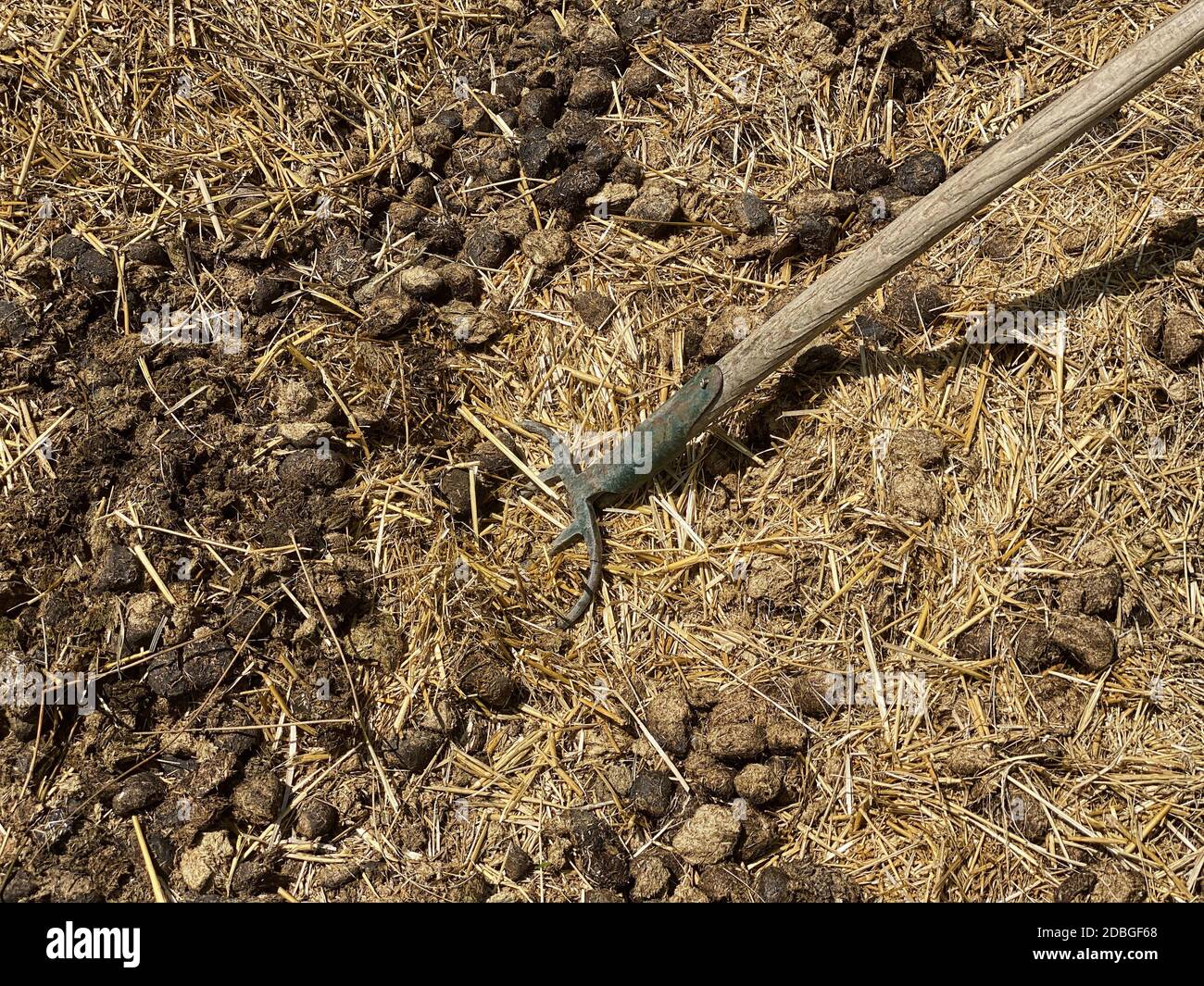 Tool farm hay pitchfork straw hi-res stock photography and images - Alamy