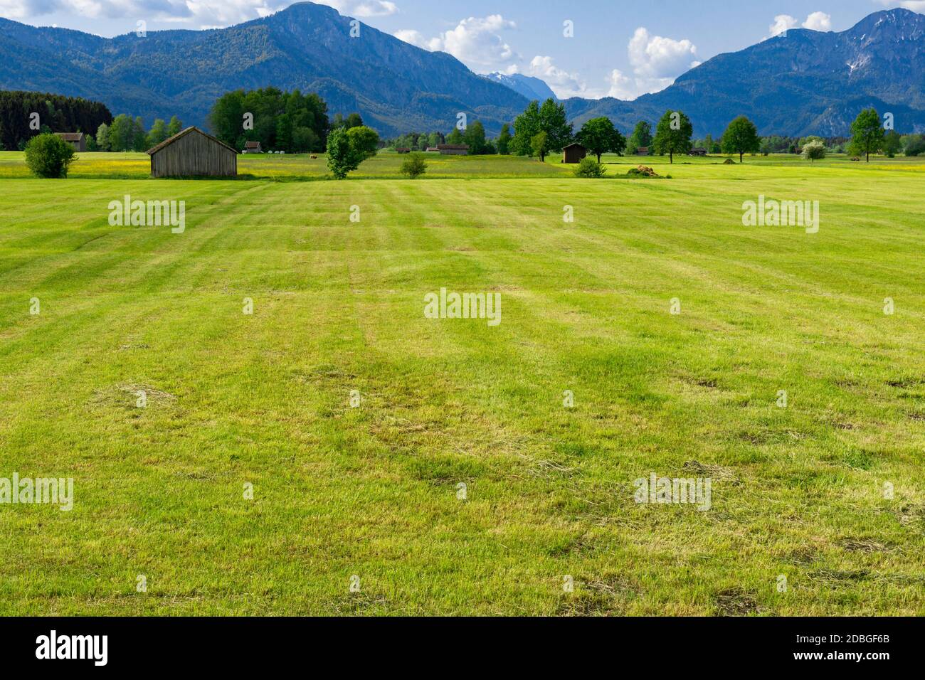Mowed meadow hi-res stock photography and images - Alamy
