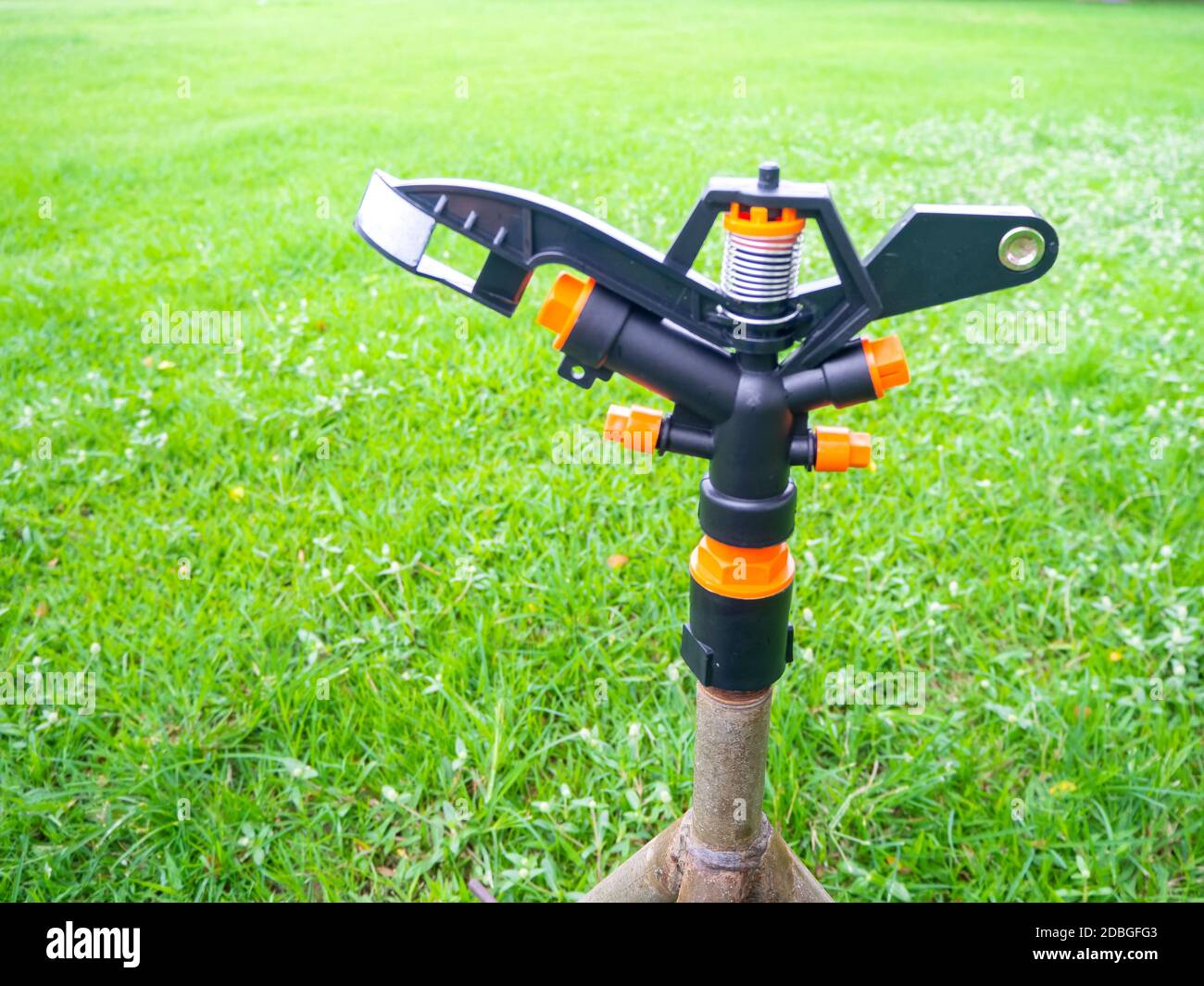 Watering plants and lawns in the garden is the selective focus of ...