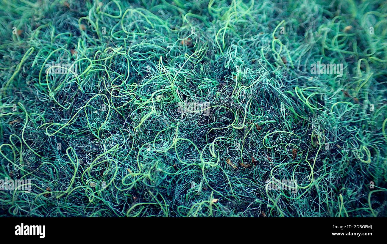 Blue carpet texture hi-res stock photography and images - Alamy