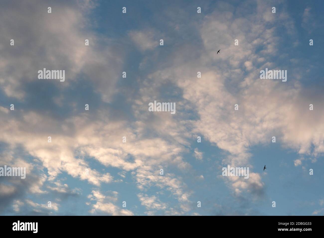 Eveing cloud hi-res stock photography and images - Alamy