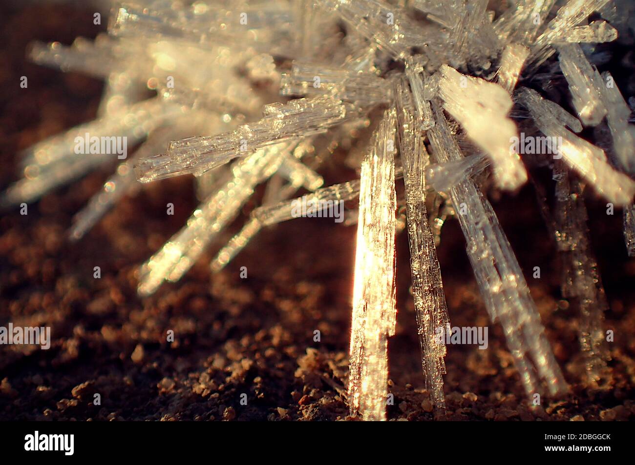 Ice crystals in the sun Stock Photo - Alamy