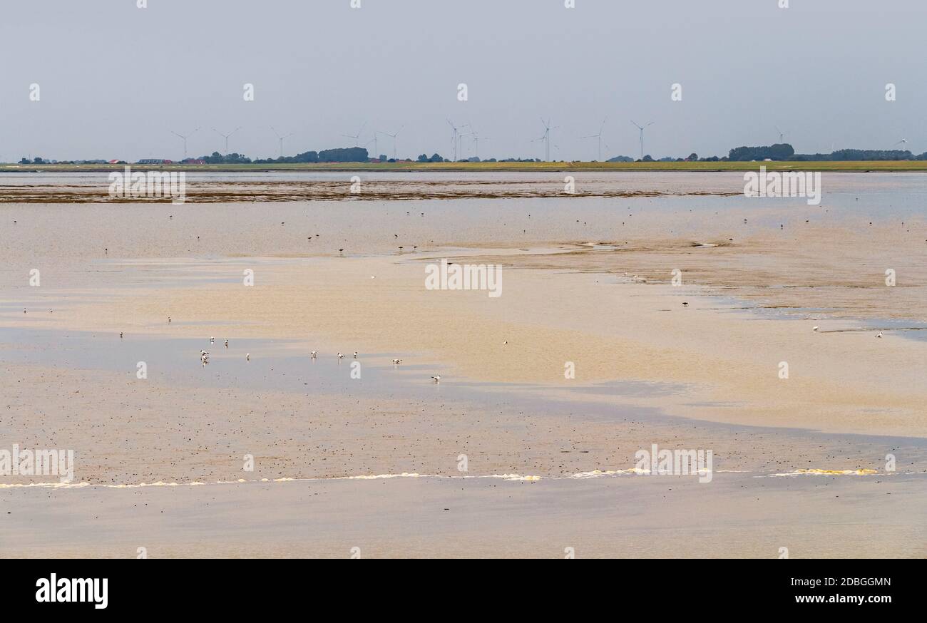 coastal scenery near Neuharlingersiel in Eastern Frisia, Germany Stock ...