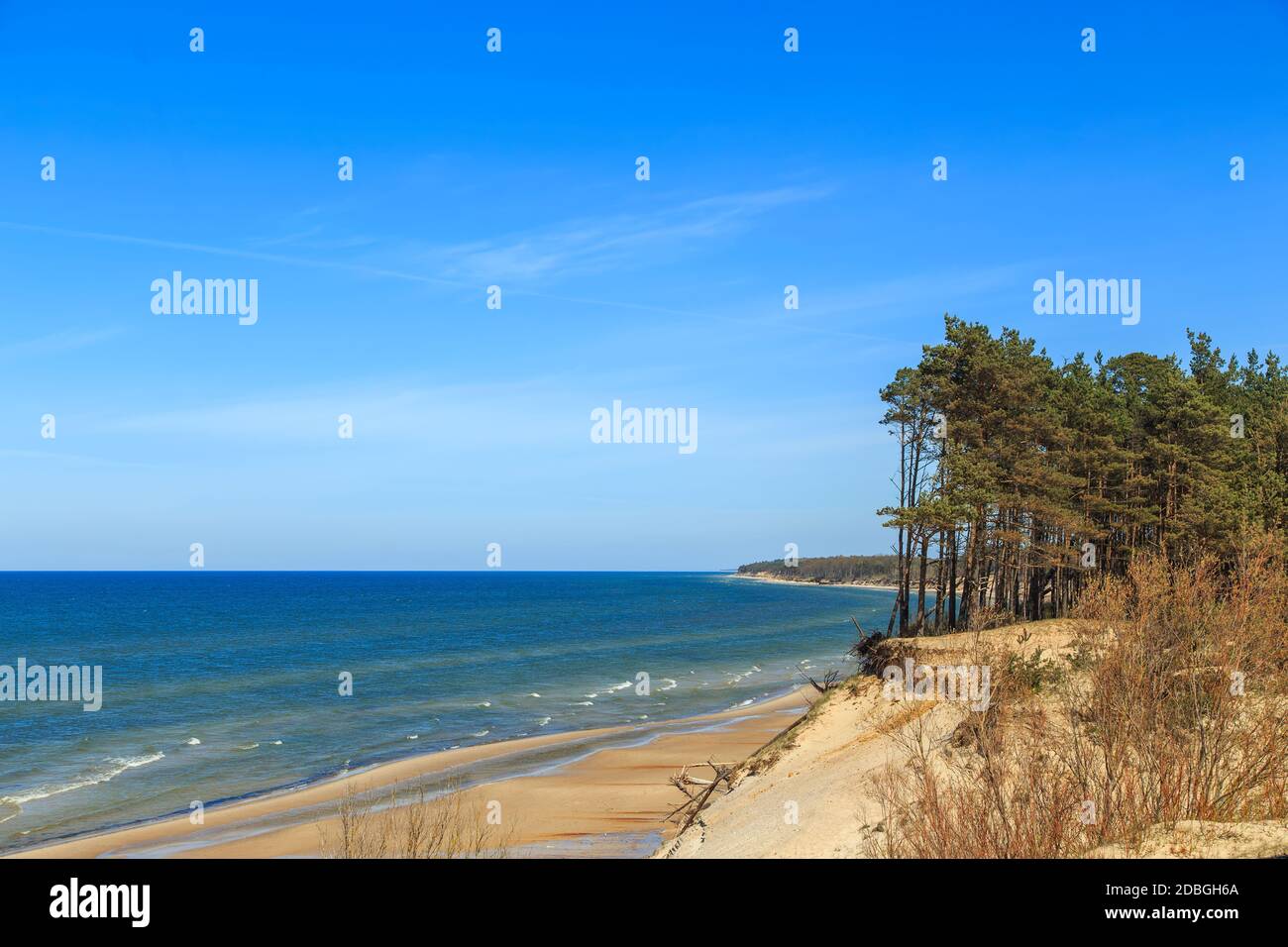 Baltic Sea coast in Latvia. Sand dunes with pines and clouds. Typical ...