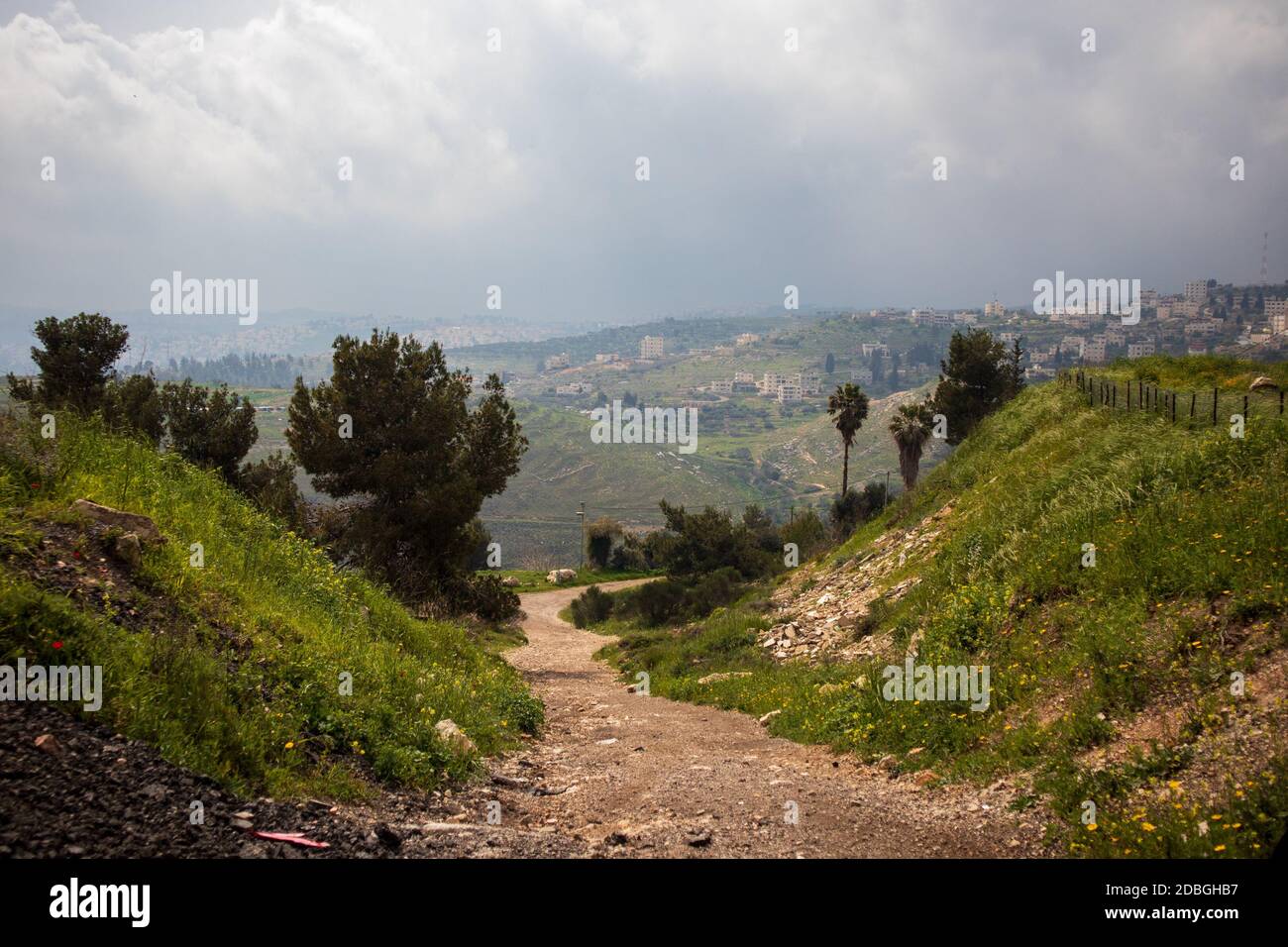 a entrance to the jerusalem forest Stock Photo - Alamy