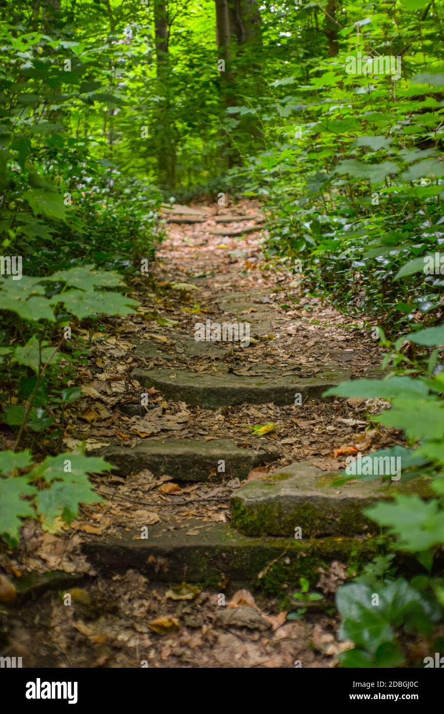 Sun lit footpath hi-res stock photography and images - Alamy