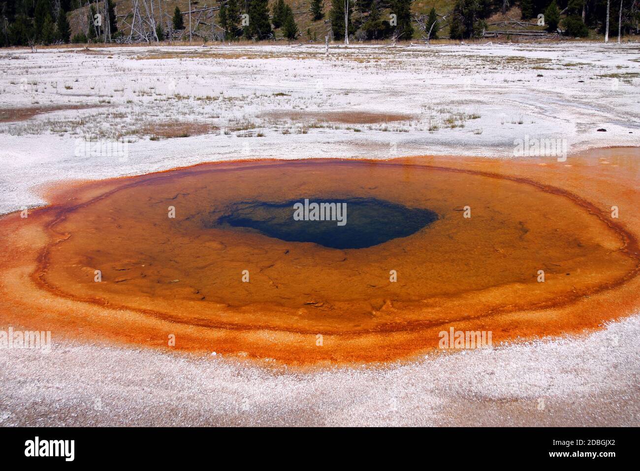 Orange spring basins in Yellowstone National Park Stock Photo - Alamy