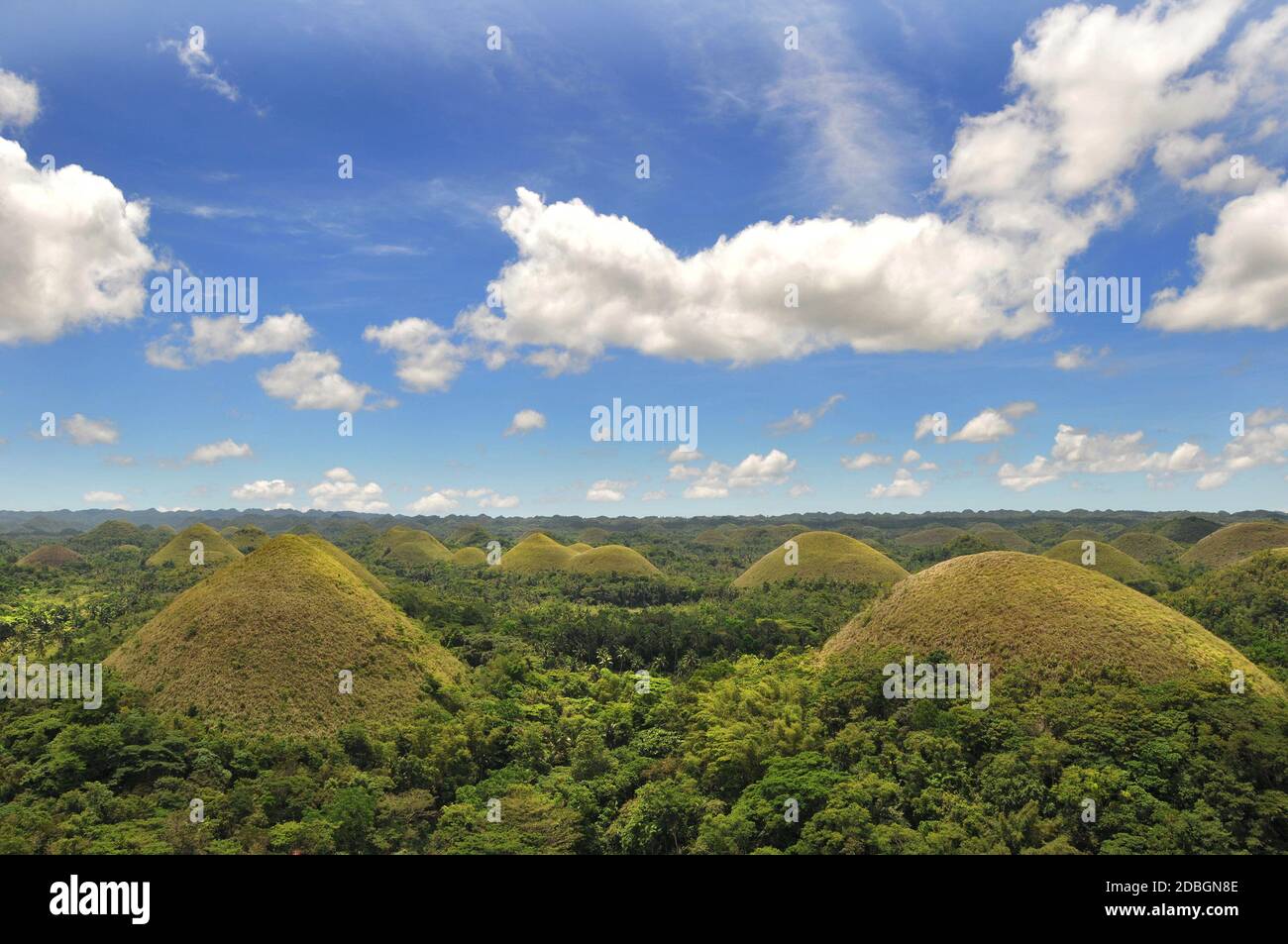 landscape with the famous chocolate hills in the philippines Stock ...