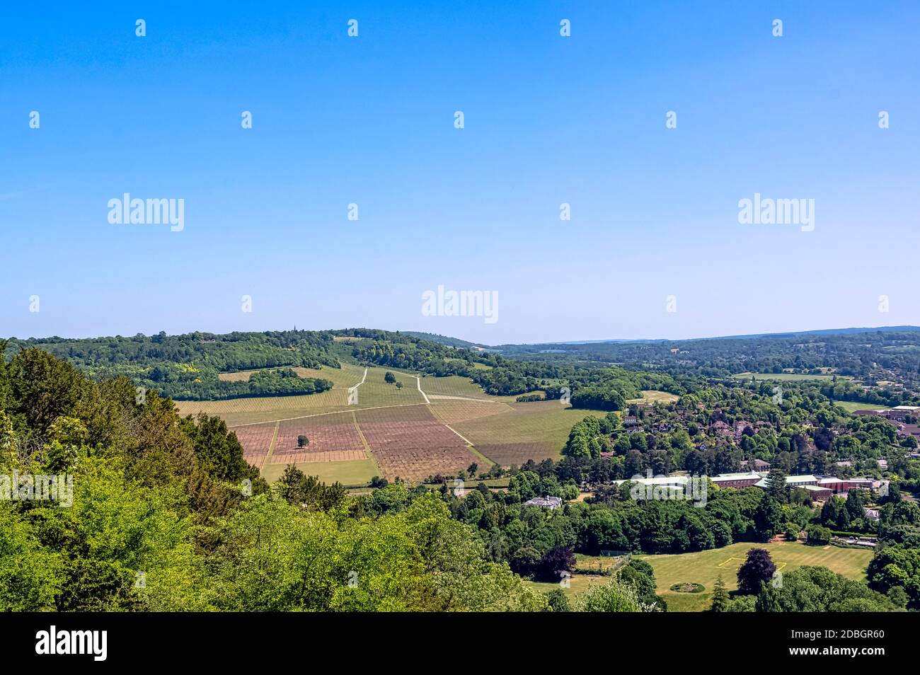 View of Surrey Hills - Surrey, United Kingdom Stock Photo - Alamy