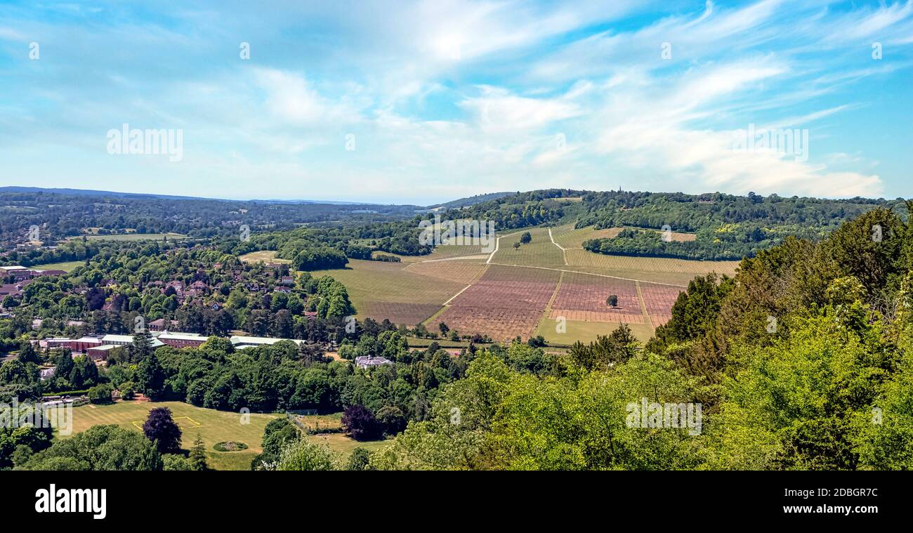 View of Surrey Hills - Surrey, United Kingdom Stock Photo - Alamy