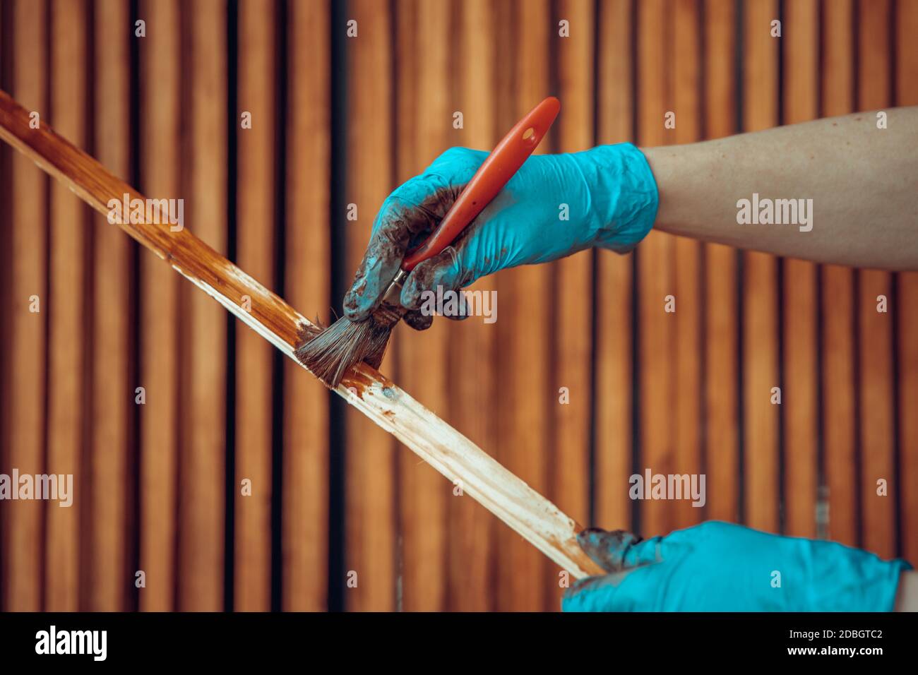 varnishing of wooden slats with a protective coating with a color shade ...