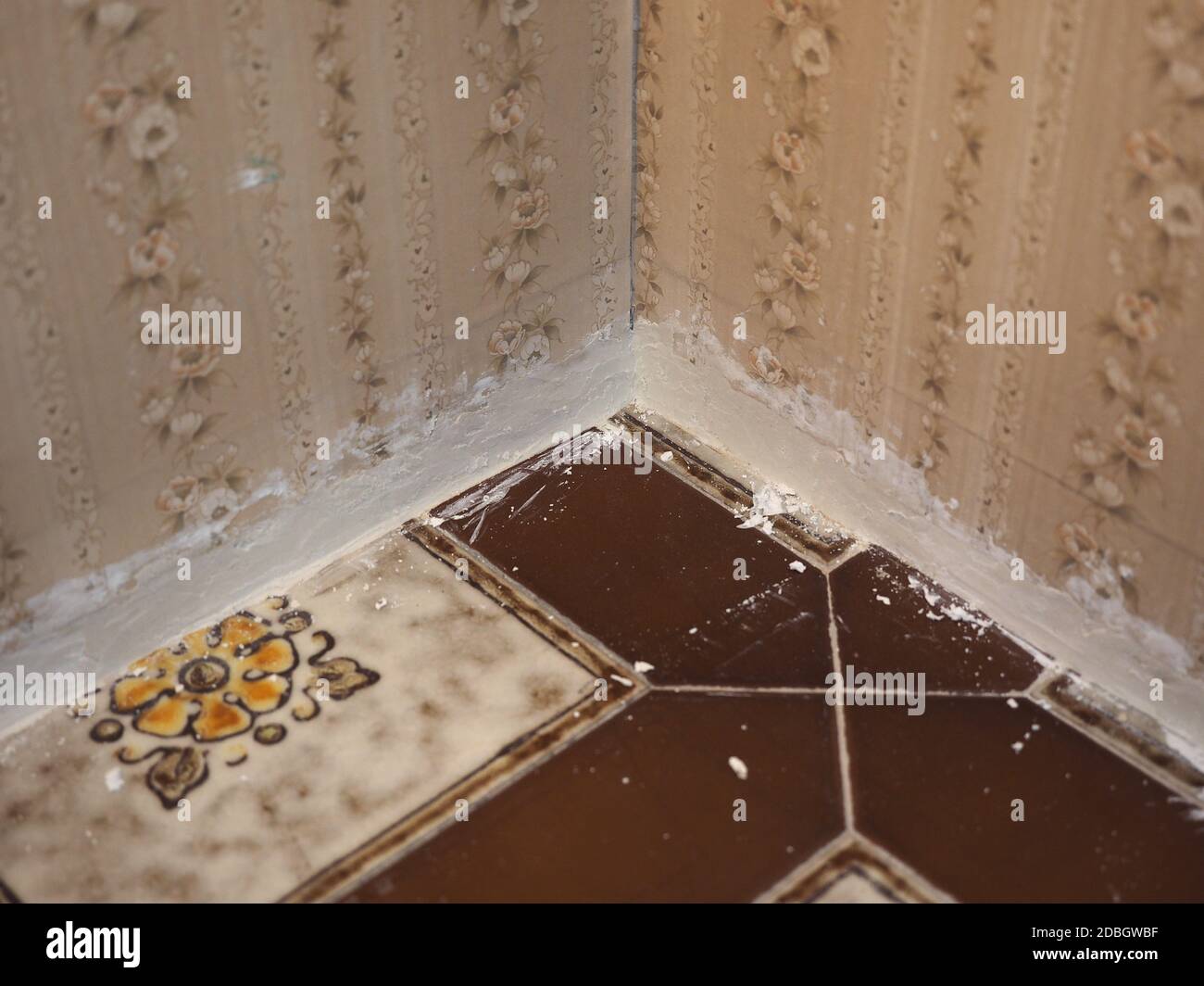 Scagliola (from the Italian scaglia, meaning chips) fine plaster stucco ...