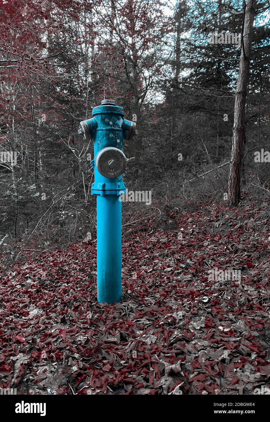 Old fire hydrant hi-res stock photography and images - Alamy