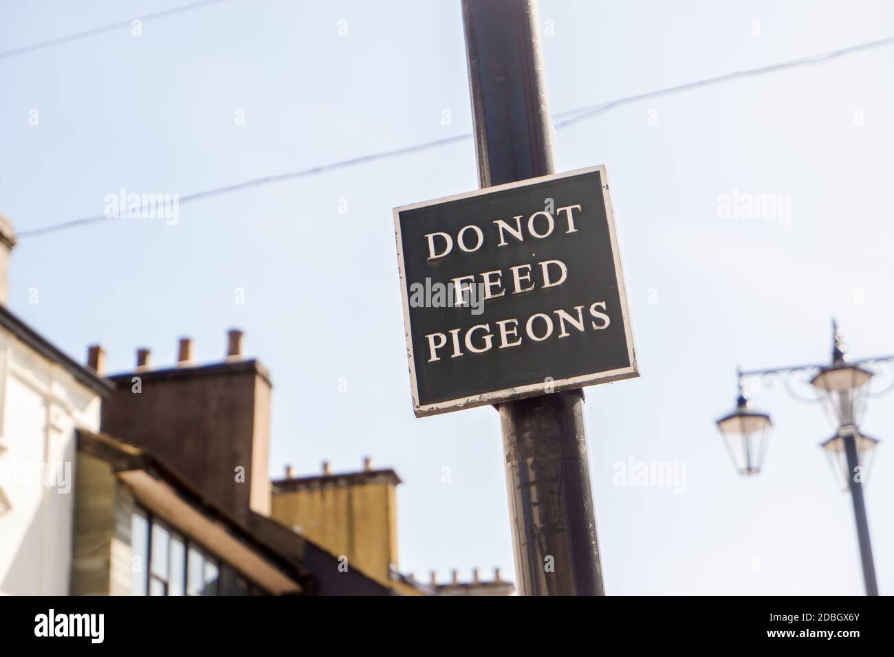 Do not feed the pigeons sign in market place Kendal UK Stock Photo - Alamy