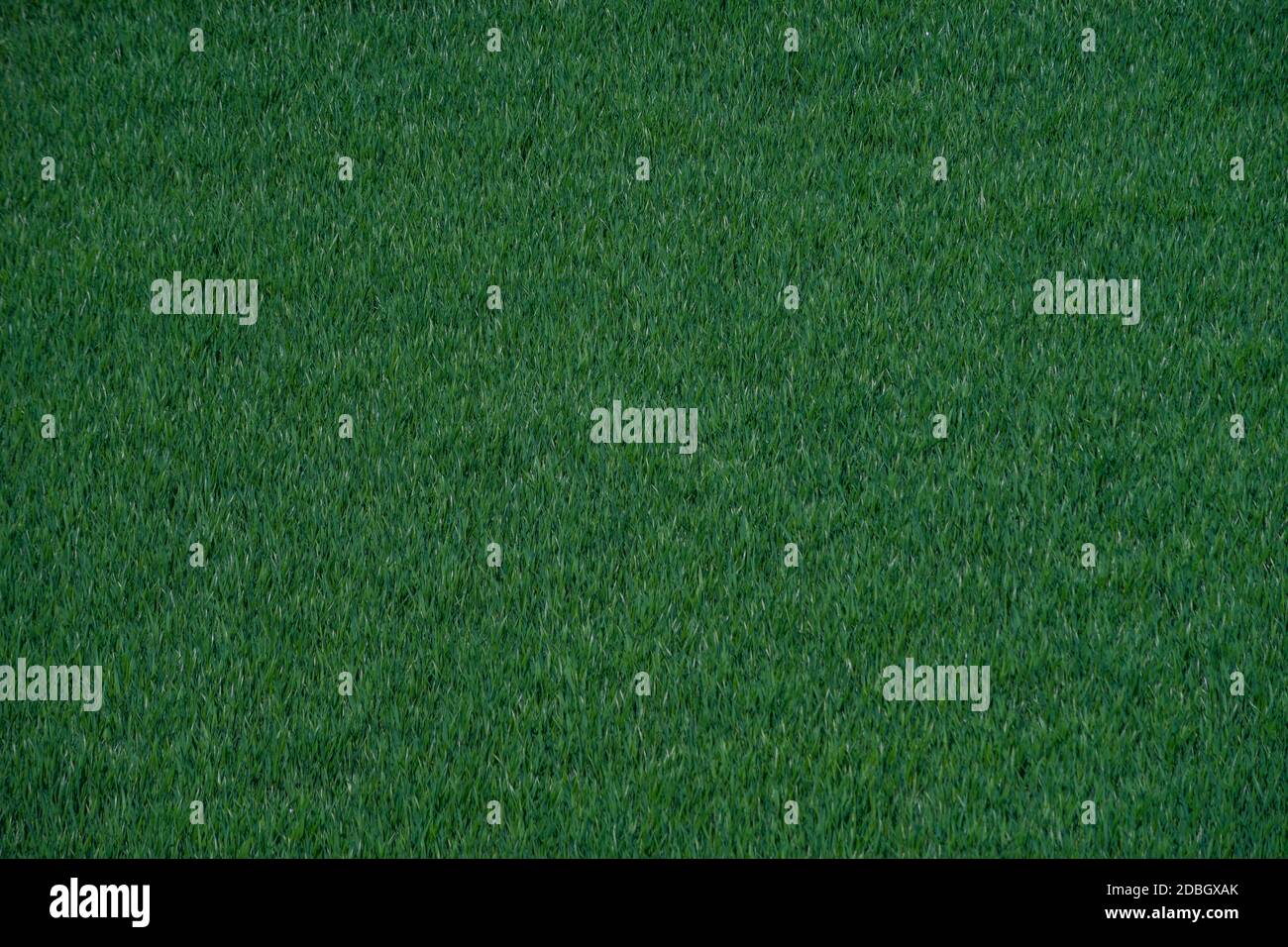 Grass structure hi-res stock photography and images - Alamy