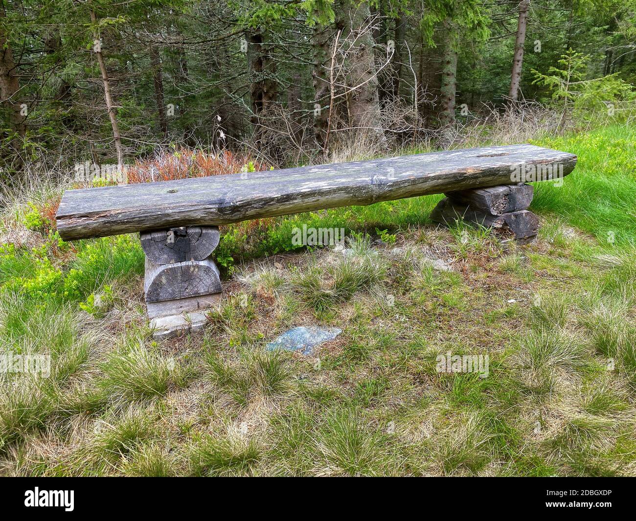 Wooden bench in the forest, resting place during the excursion Stock ...