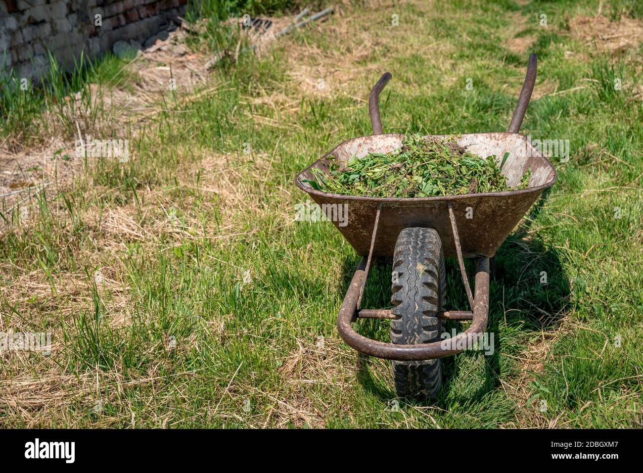 Weeds On Waste Ground High Resolution Stock Photography and Images - Alamy