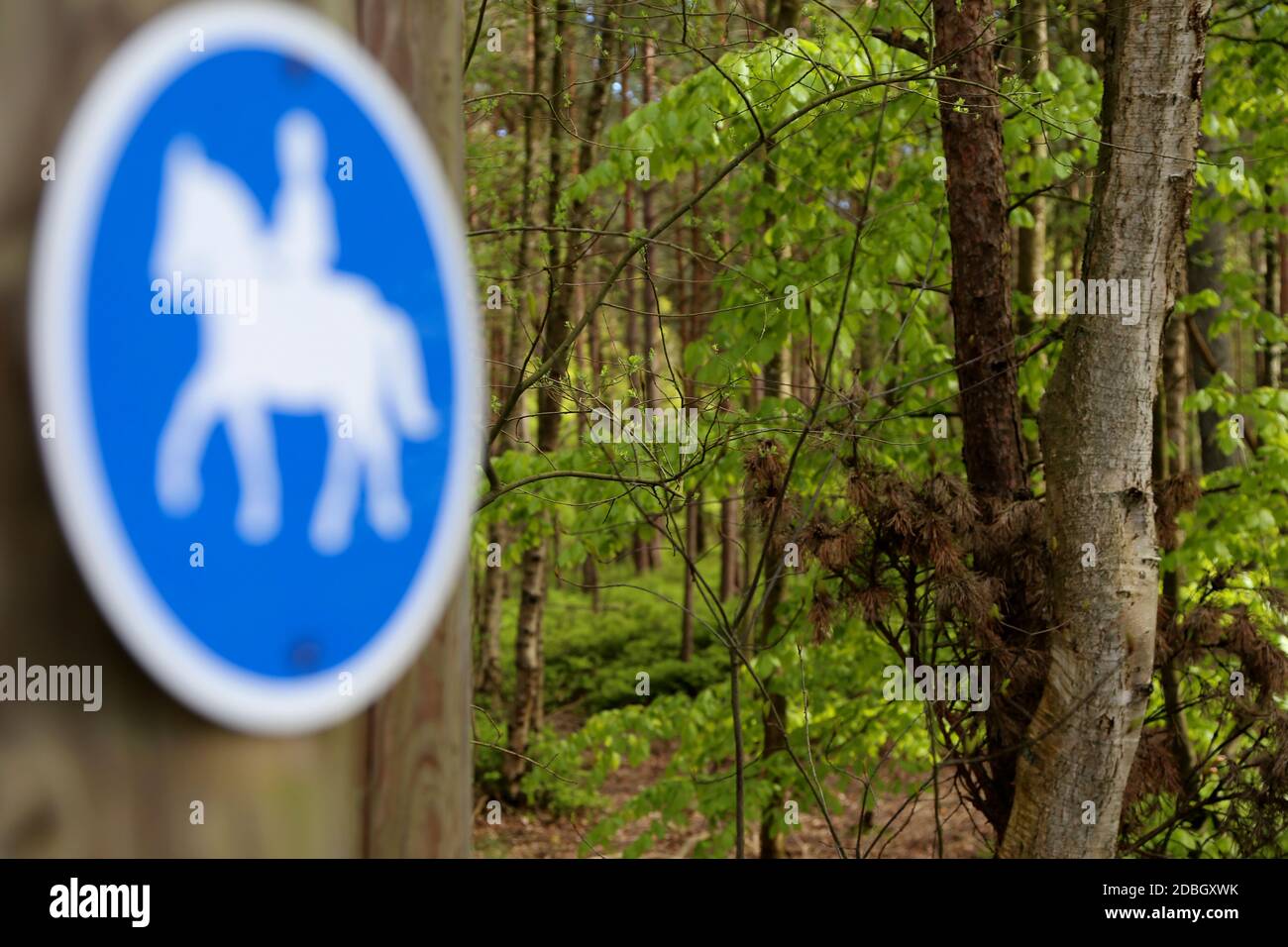 Blue Road sign for bridle path Stock Photo - Alamy