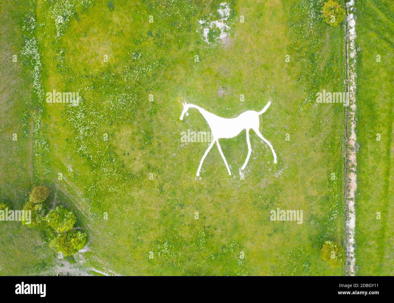 Hackpen White Horse chalk hill figure of a white horse on Hackpen Hill ...
