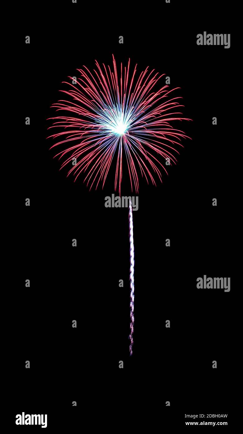 Beautiful red and blue fireworks exploding in the night sky, isolated ...