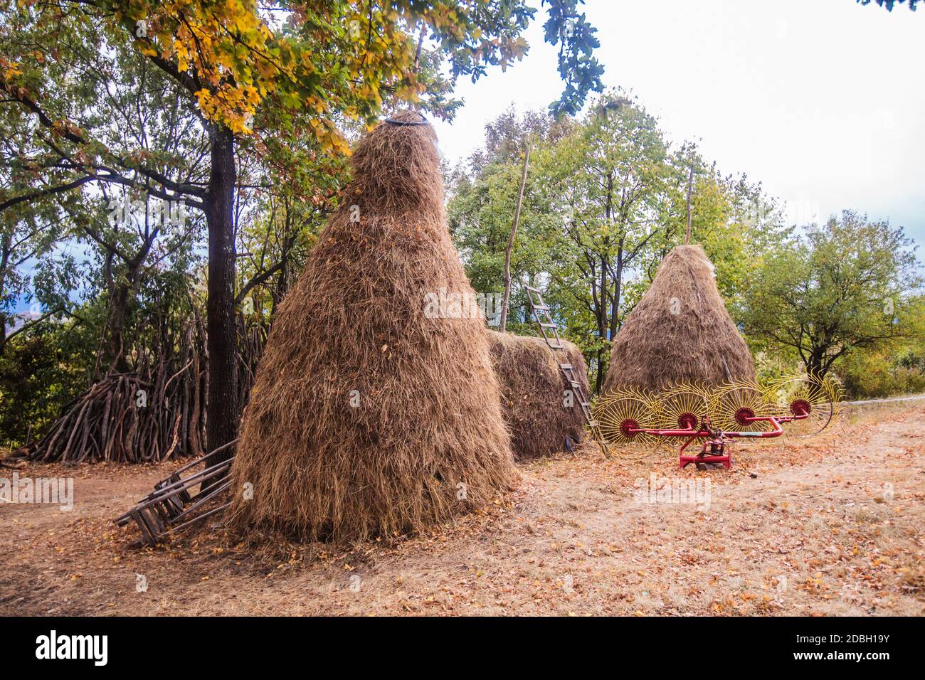 Traditional haystack at the rural farmland on an autumn day Stock Photo ...