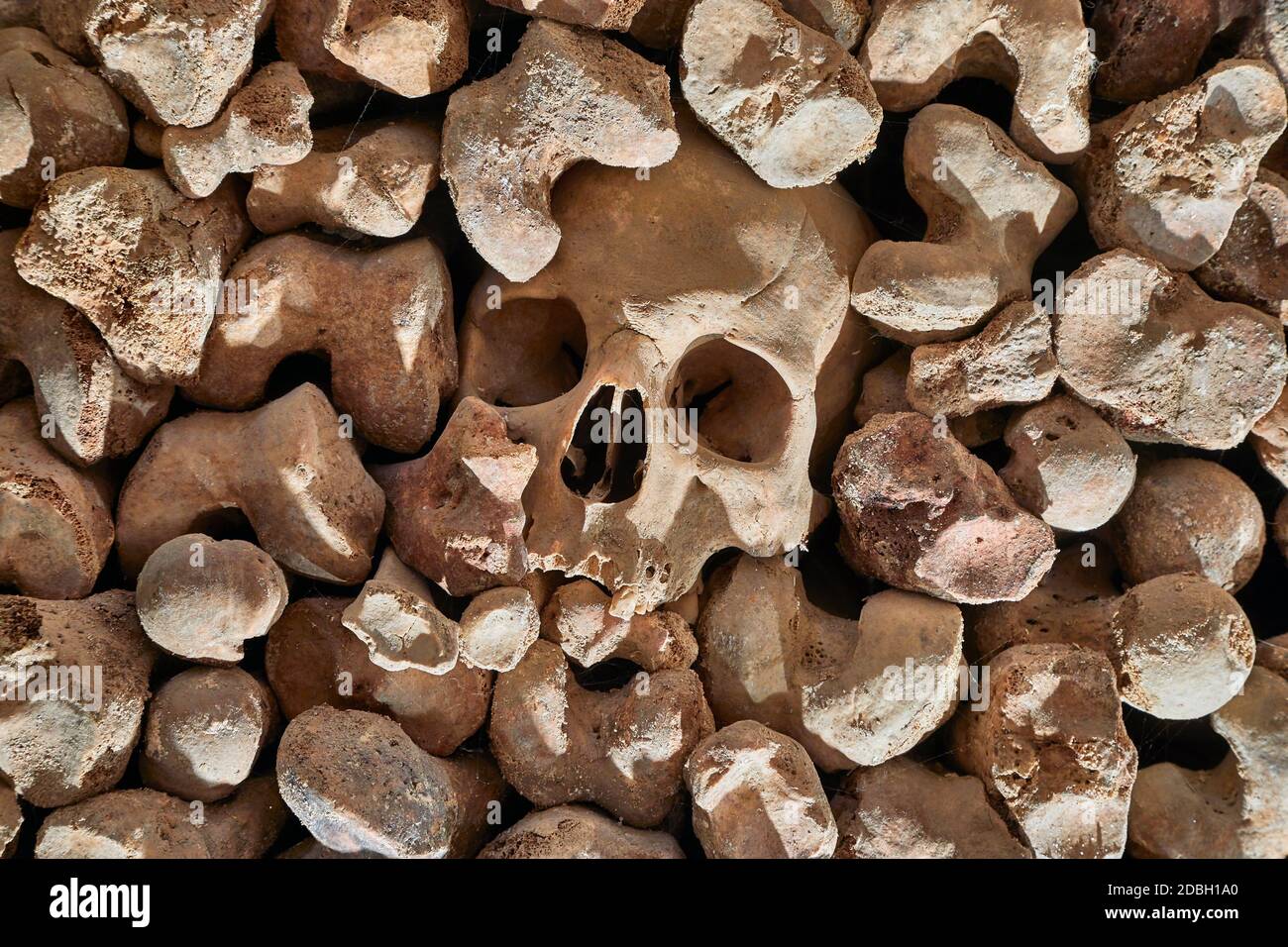 Wall made of human skulls and bones Stock Photo - Alamy