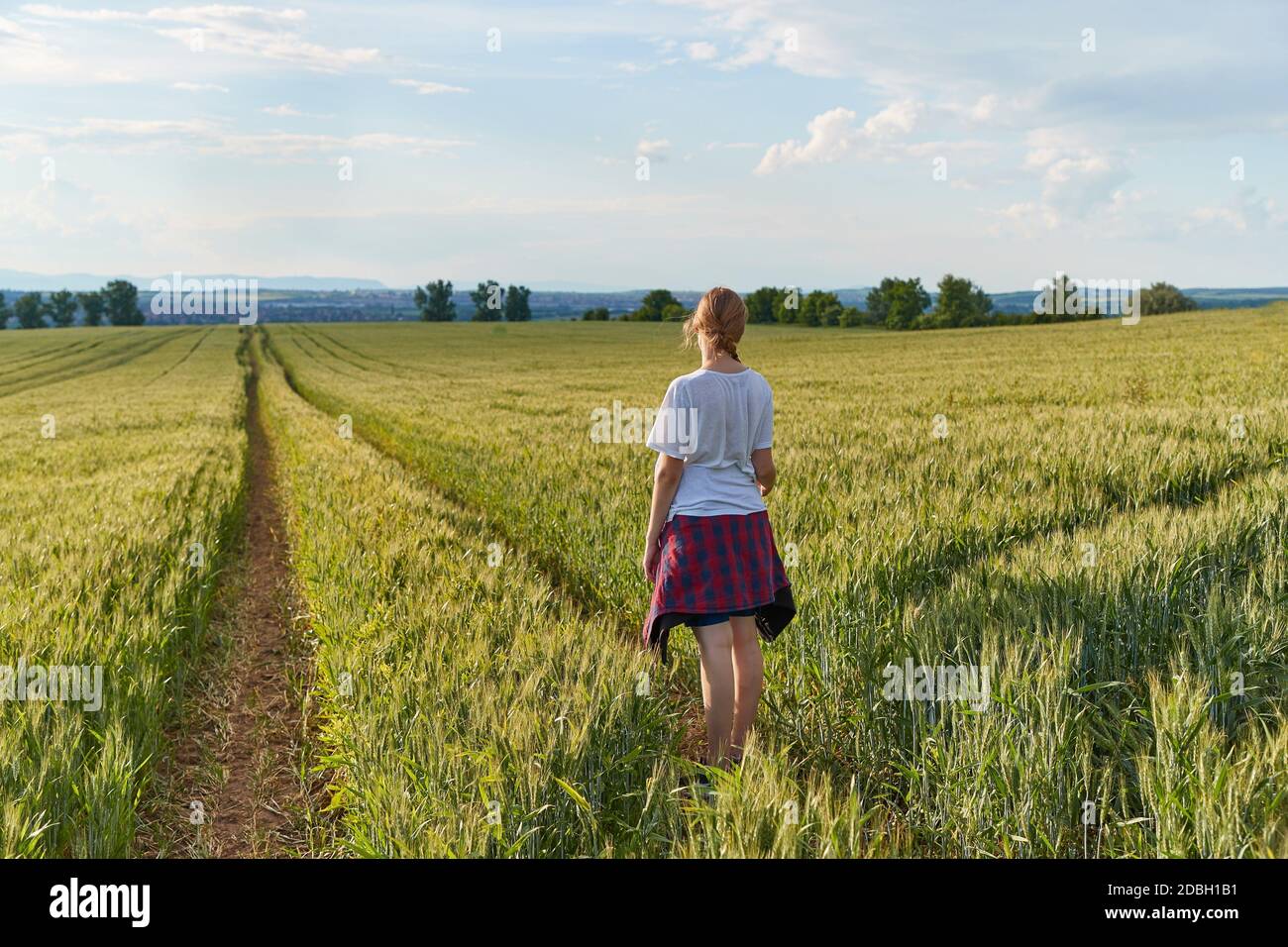 Countryside path through green fields with trees Stock Photo - Alamy