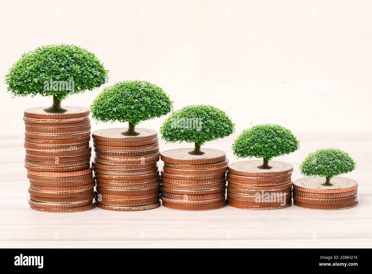 Save money tree growing on stack coins : Business finance investment ...